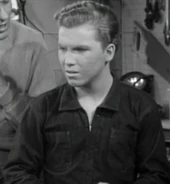 Eddie Hodges | The Golden Throats Wiki | Fandom