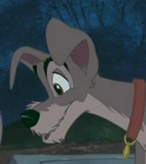 Jeff Bennett | The Golden Throats Wiki | Fandom