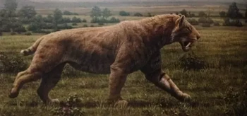 Smilodons | Gon Wiki | Fandom