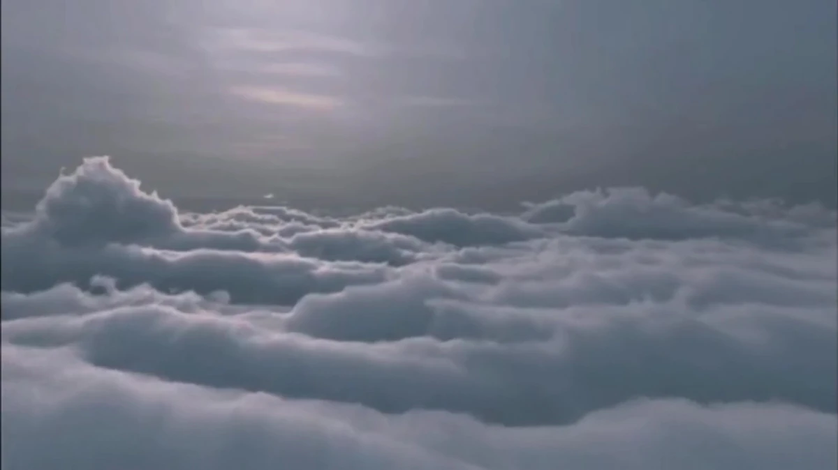 Here Comes Gon/Gallery | Gon Wiki | Fandom