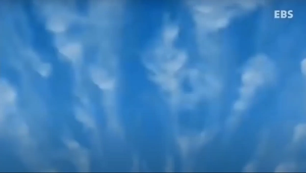 Disaster Beginning/Gallery | Gon Wiki | Fandom