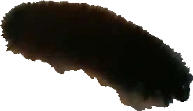 Gondal Wiki | Fandom