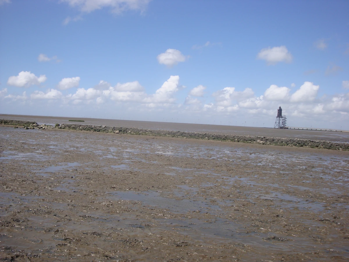 Havens of Sirion | Gondolin Wiki | Fandom