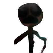 Care Of Gongon Wiki | Fandom