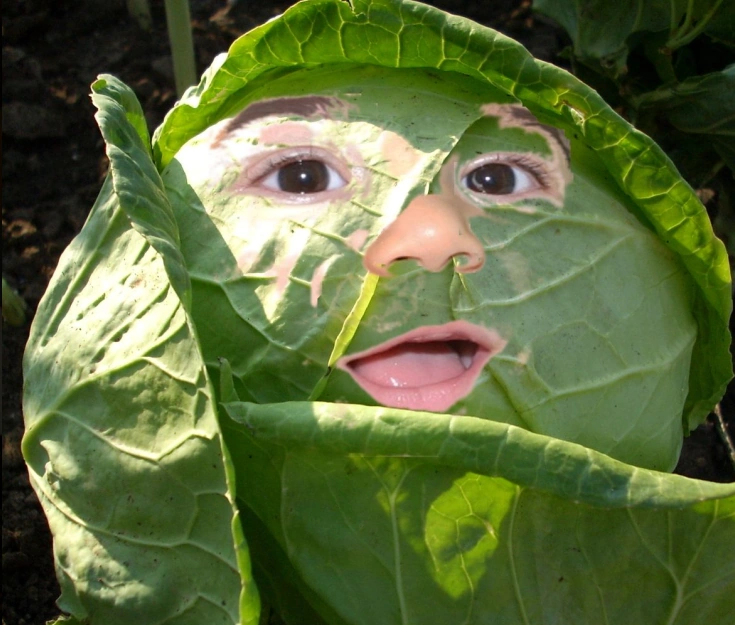 Babbage machine | Goober Grades Wiki | Fandom