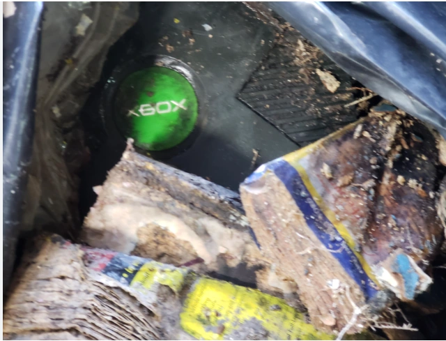 Zbone Original | Goober Grades Wiki | Fandom