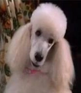 Barbara Ann | Good Boy! Wiki | Fandom