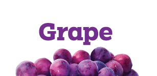Grape | Good2grow Wiki | Fandom