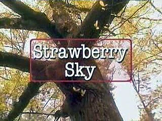 Strawberry Sky | Good Eats | Fandom