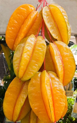 Starfruit | Food Wiki | Fandom