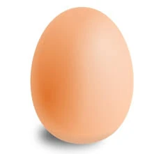 Egg | Food Wiki | Fandom