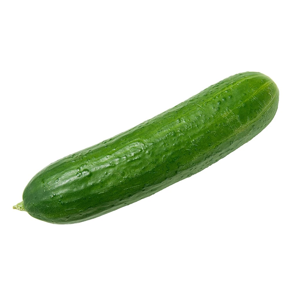 Cucumber | Food Wiki | Fandom