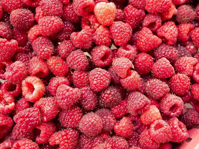 Raspberry | Food Wiki | Fandom
