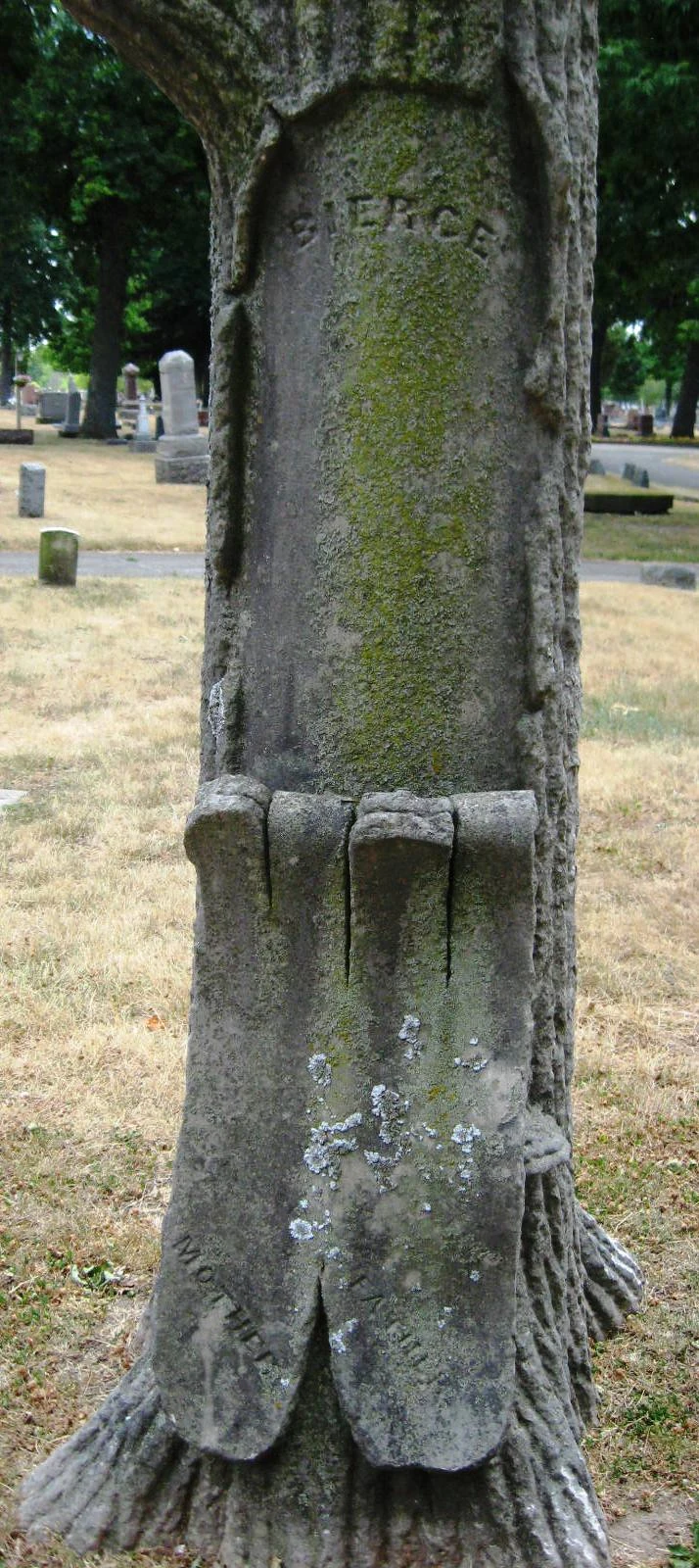 Laura (Sherwood) Bierce | Goodwin-Genealogy Wikia | Fandom