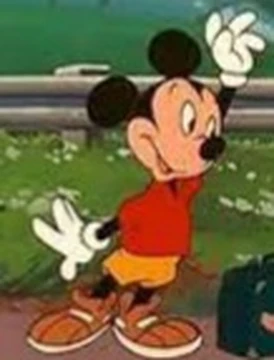 mickey mouse gonk