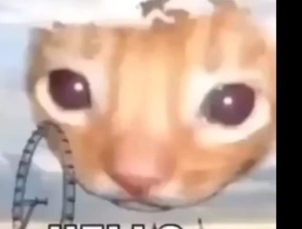 God Cat | Goofy Cats Wiki | Fandom