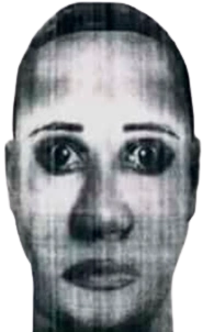 Selene | Goofy Runners Wiki | Fandom