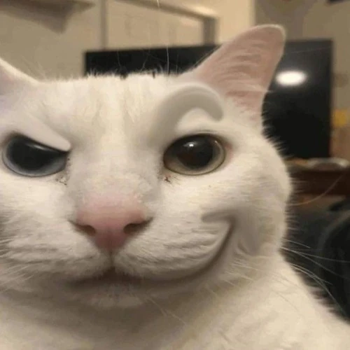 Gatwo the Cat | Goofy Goobers Wiki | Fandom