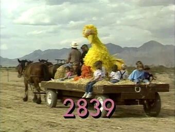 Sesame Street: Season 22: Episode 2839 (1991) | Google Sites (New ...