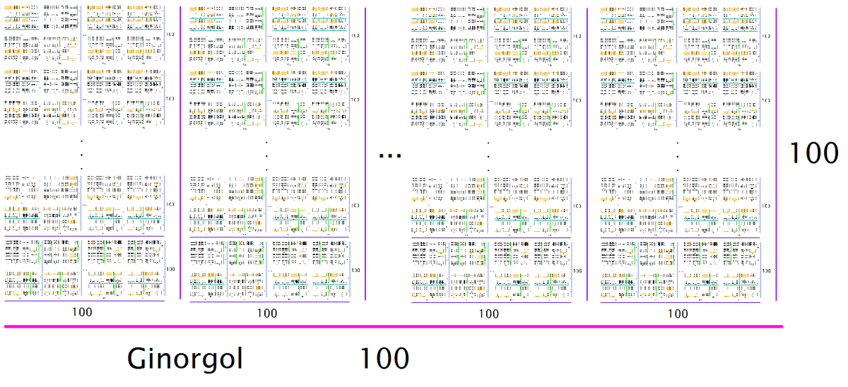 Ginorgol | Googology Wiki | Fandom