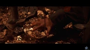 One-Eyed Willy's treasure | The Goonies Wiki | Fandom