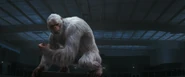 Abominable Snowman | Goosebumps Wiki | Fandom