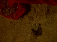 Return of the Mummy (TV episode) | Goosebumps Wiki | Fandom