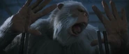 Abominable Snowman | Goosebumps Wiki | Fandom