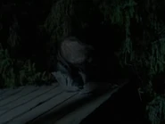 The Werewolf of Fever Swamp (TV episode) | Goosebumps Wiki | Fandom
