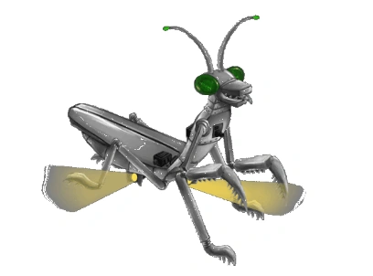 Giant Praying Mantis