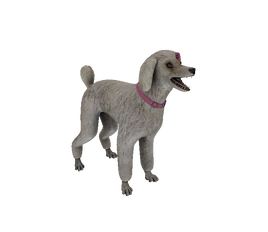 Fifi the Vampire Poodle | Goosebumps Wiki | Fandom