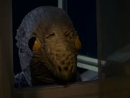 The Girl Who Cried Monster (TV episode) | Goosebumps Wiki | Fandom