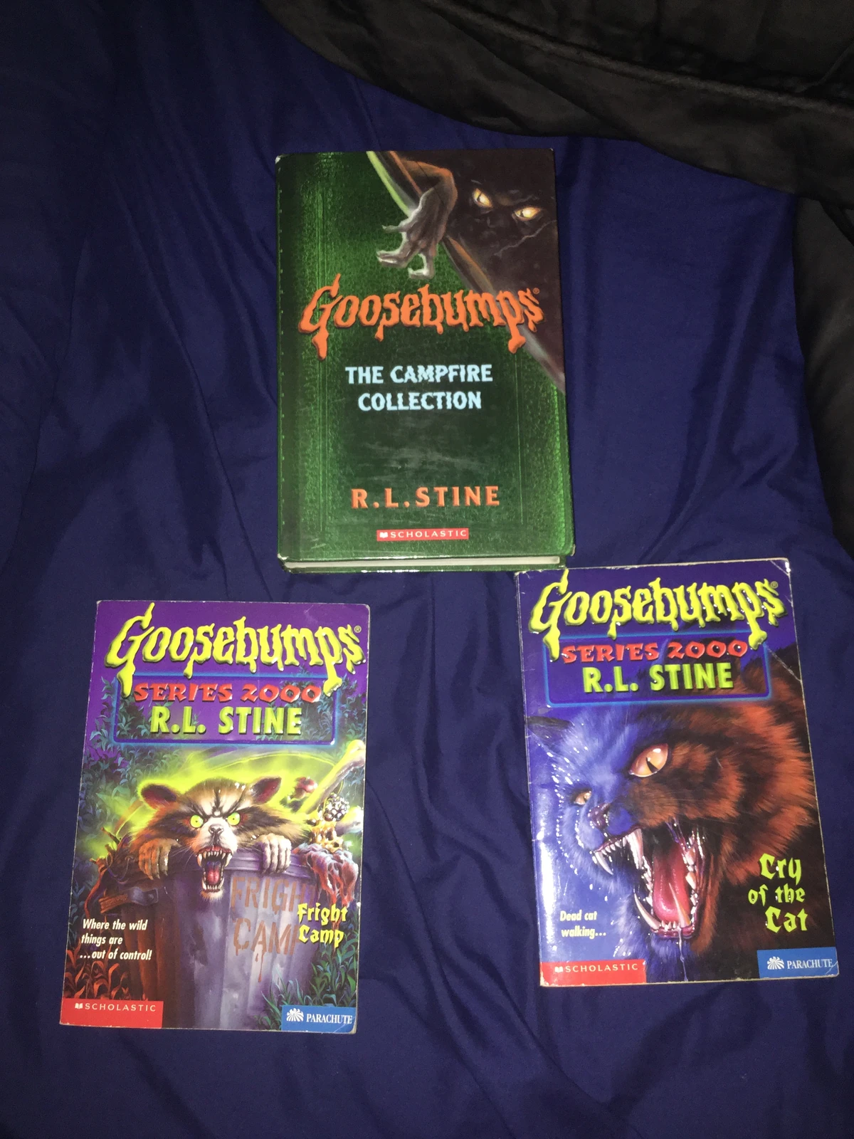 User blog:IsaiahV17/Goosebumps Collection Update 1 | Goosebumps Wiki ...