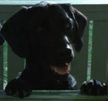 Cooper Holmes | Goosebumps Wiki | Fandom