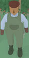 Characters - Untitled Goose Game Wiki