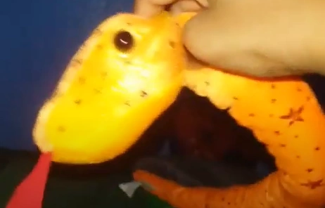 Snakebrothers | Gooser and friends show Wiki | Fandom