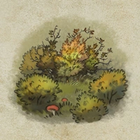 Underbrush - Official Grimmwood Wiki