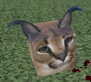 Floppa Cube | GoreBox Wiki | Fandom