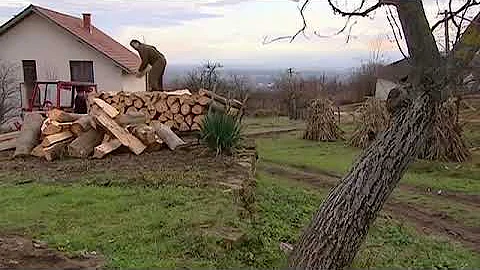 Dubič | Selo Gori a Baba se Češlja Wiki | Fandom