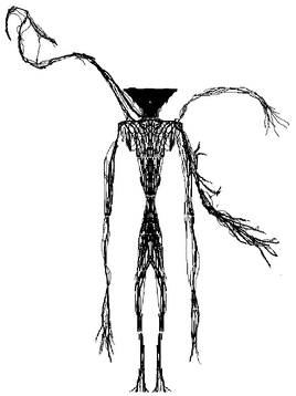 The broken end | Gorilla Tag Ghosts Wiki | Fandom