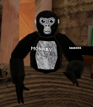 NAME666 | Gorilla Tag Ghosts Wiki | Fandom