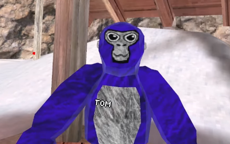 TOM | Gorilla Tag Ghosts Wiki | Fandom