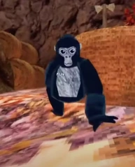 RUN | Gorilla Tag Ghosts Wiki | Fandom
