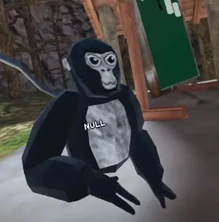 NULL | Gorilla Tag Ghosts Wiki | Fandom