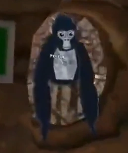 TipToe | Gorilla Tag Ghosts Wiki | Fandom