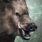 Wild Boar | Game of Thrones: Ascent Wiki | Fandom