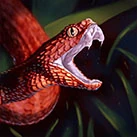 Red Viper | Game of Thrones: Ascent Wiki | Fandom