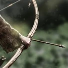 Arya's Bow | Game of Thrones: Ascent Wiki | Fandom