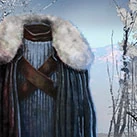 Arya's Cloak | Game of Thrones: Ascent Wiki | Fandom