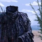 Three-Eyed Raven's Cloak | Game of Thrones: Ascent Wiki | Fandom